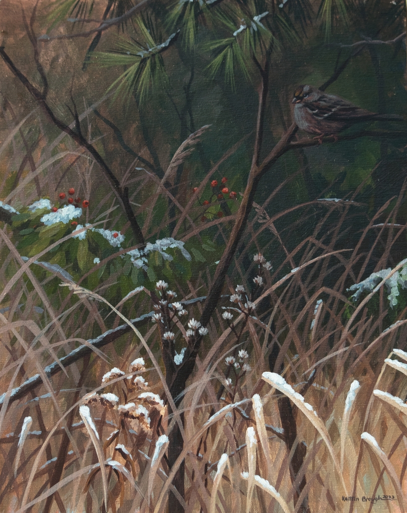 The first fall of snow